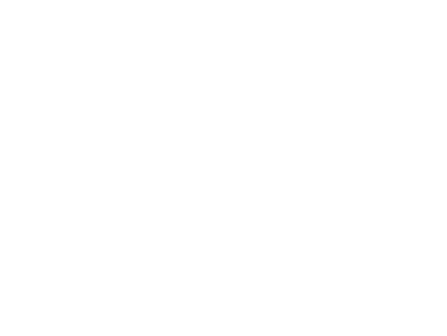 Best Chimney Services in Garland, TX | Since 1995.